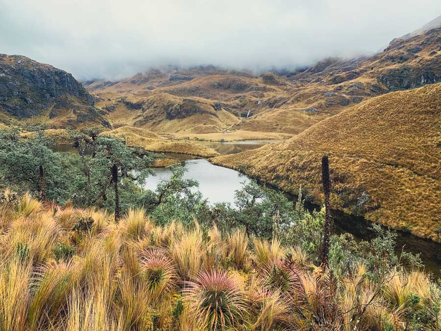 El Cajas National Park